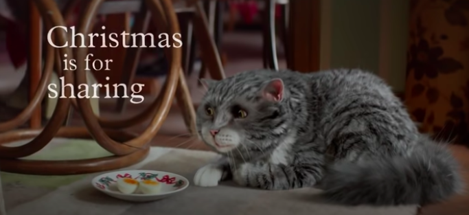 Cat Commercial Class: The First 8 Irresistible Cat Commercials You Must ...